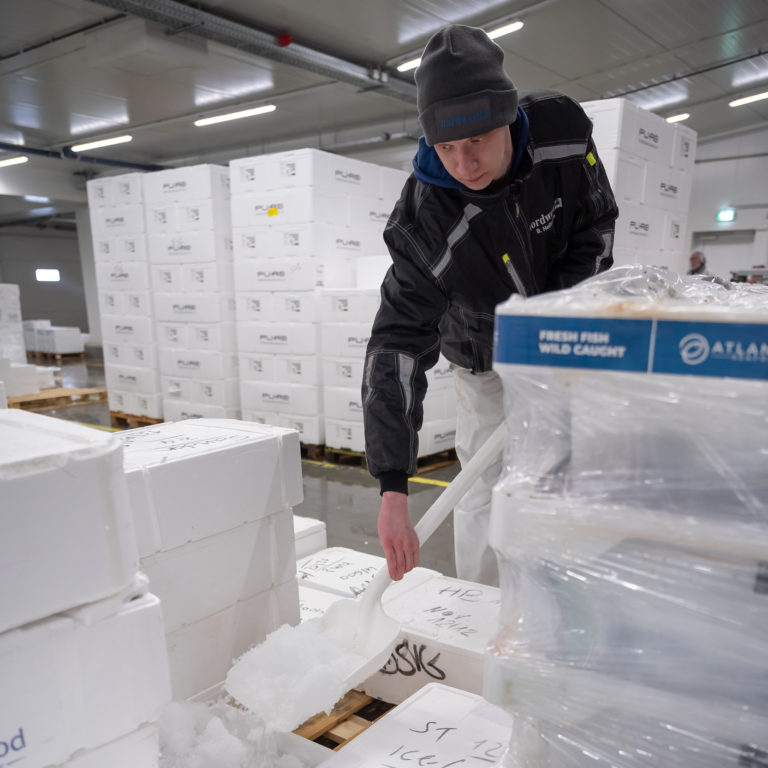 Karriere – nordwest Logistik